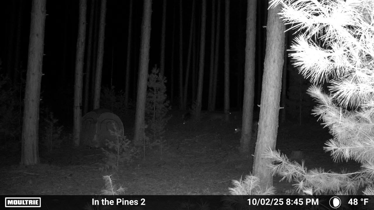 Best Trail Cameras 2026: 12 Field-Tested Models