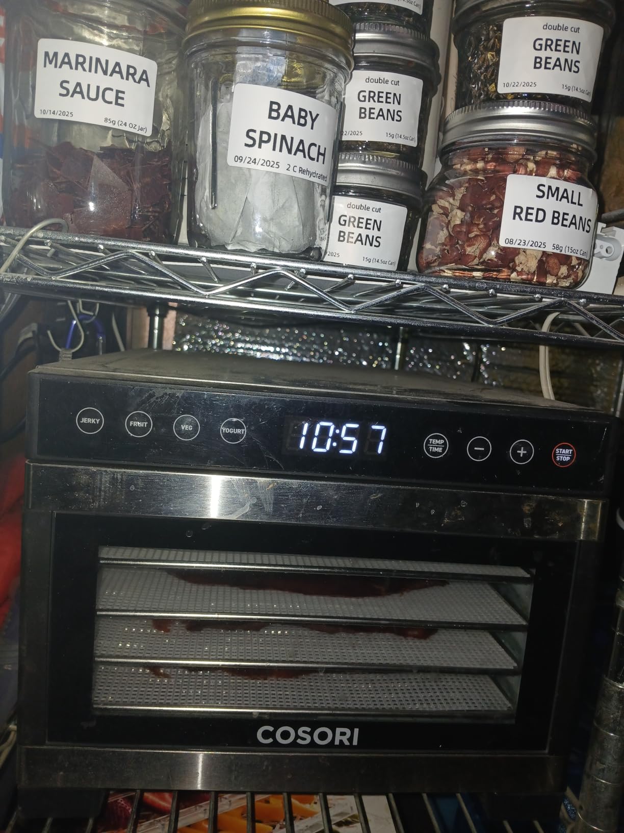 10 Best Food Dehydrator 2026: Top Models Tested
